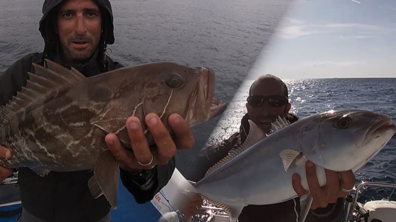Cernia e Ricciola con calamaro finto - Pesca a traina - YouTube