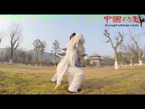 wudang online--- wudang kung fu wudang taiyi wuxing quan 太乙五行拳 - YouTube