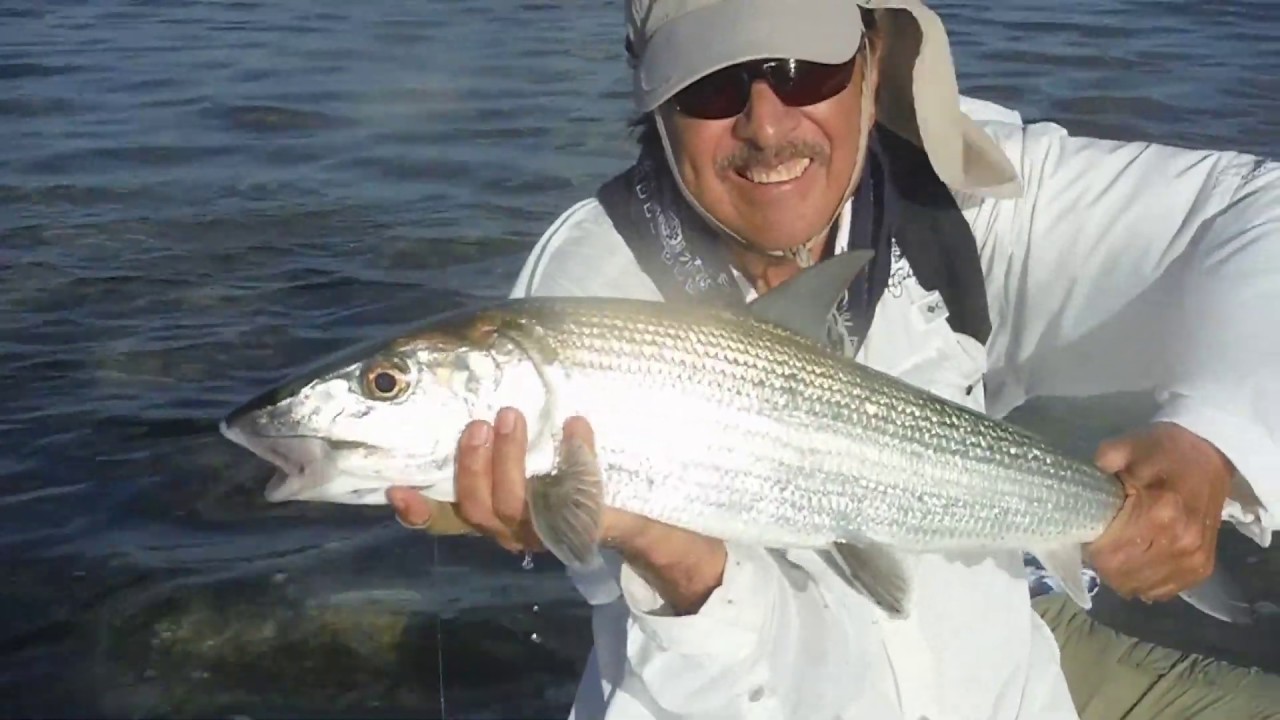 Cocos Keeling Island - Big Bonefish! WOW - YouTube