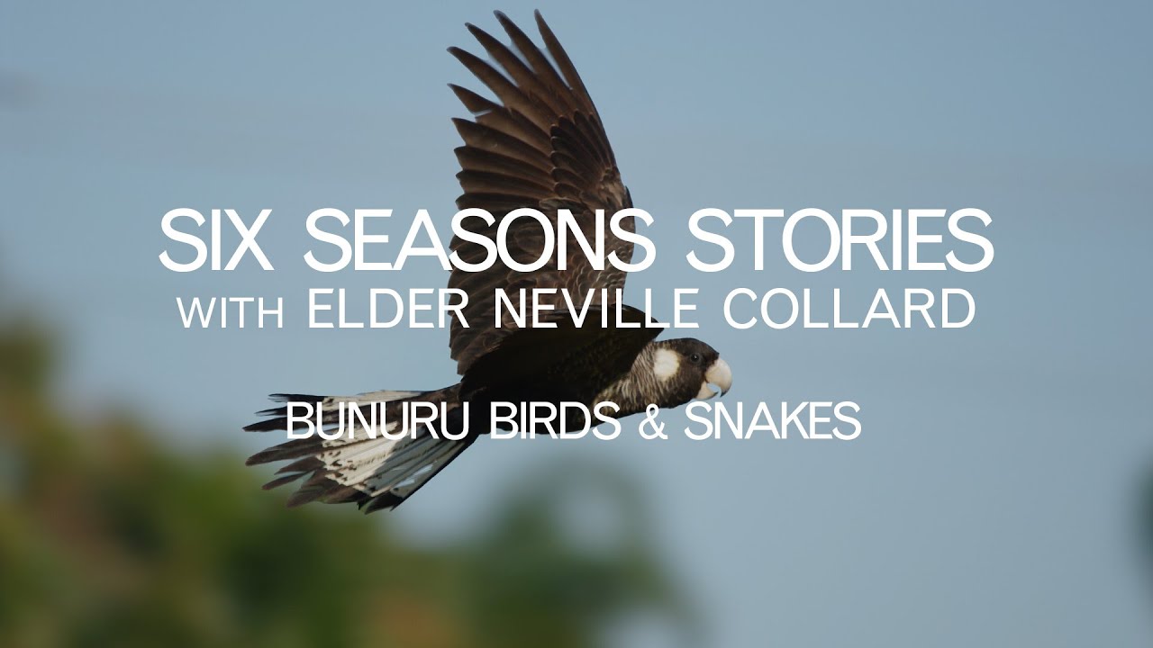 Six Seasons Stories with Elder Neville Collard - Bunuru - Birds ...