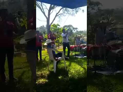 Saoo orquesta original saoo