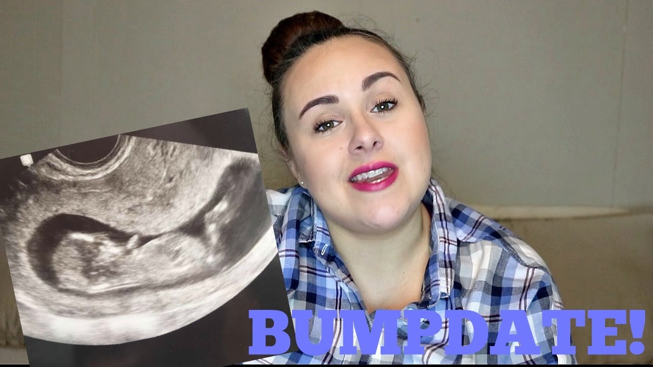 19 Week Pregnancy Update Youtube