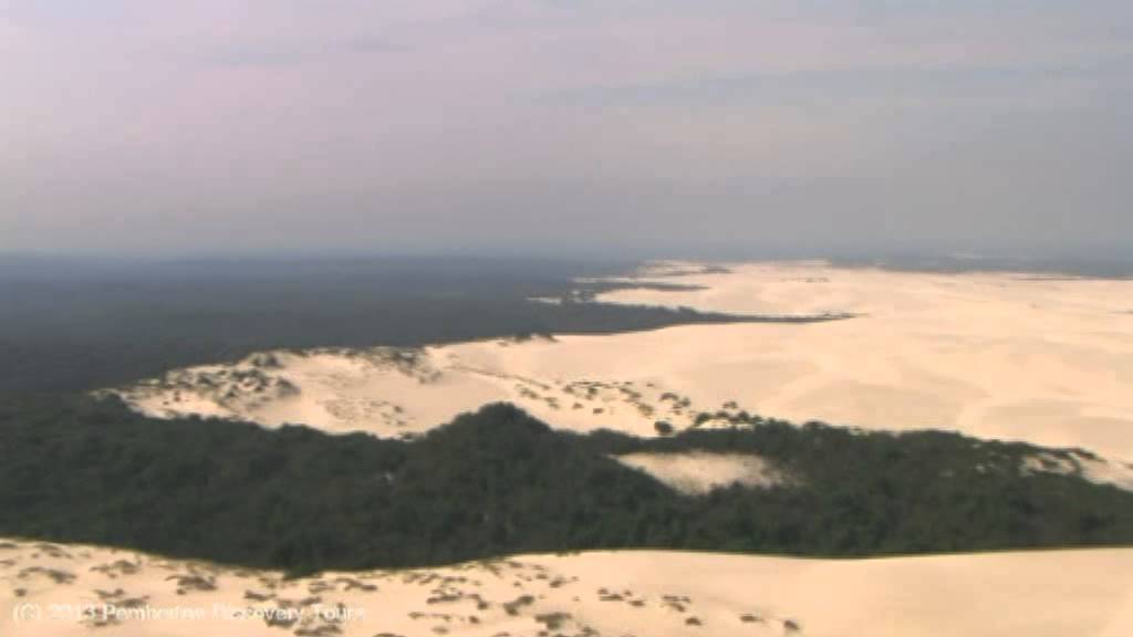 Pemberton Discovery Tours a Beach & Forest Eco Adventure - YouTube