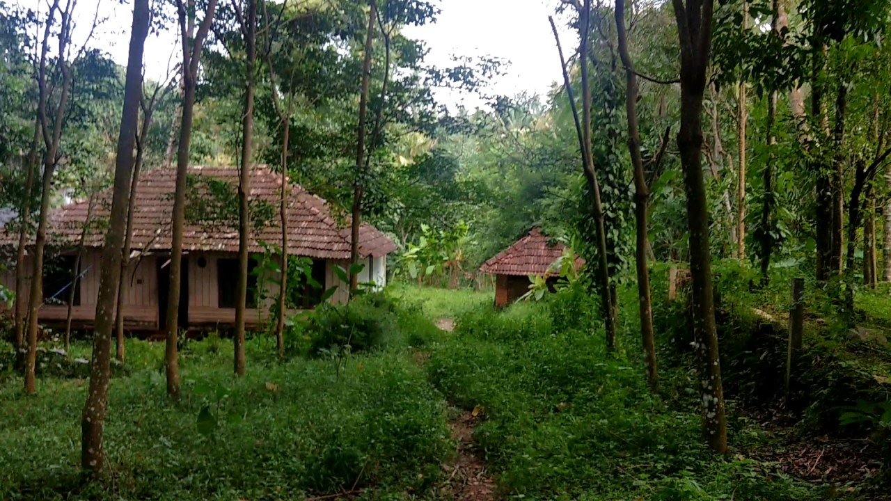 100 Cent land For Sale at kalloor,Thrissur. - YouTube