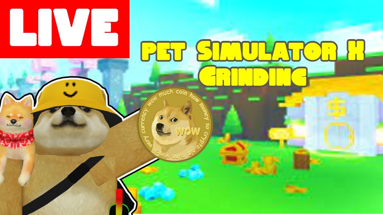 🔴 ROBLOX Pet Simulator X LIVE! 🔴Grinding LIVE - YouTube