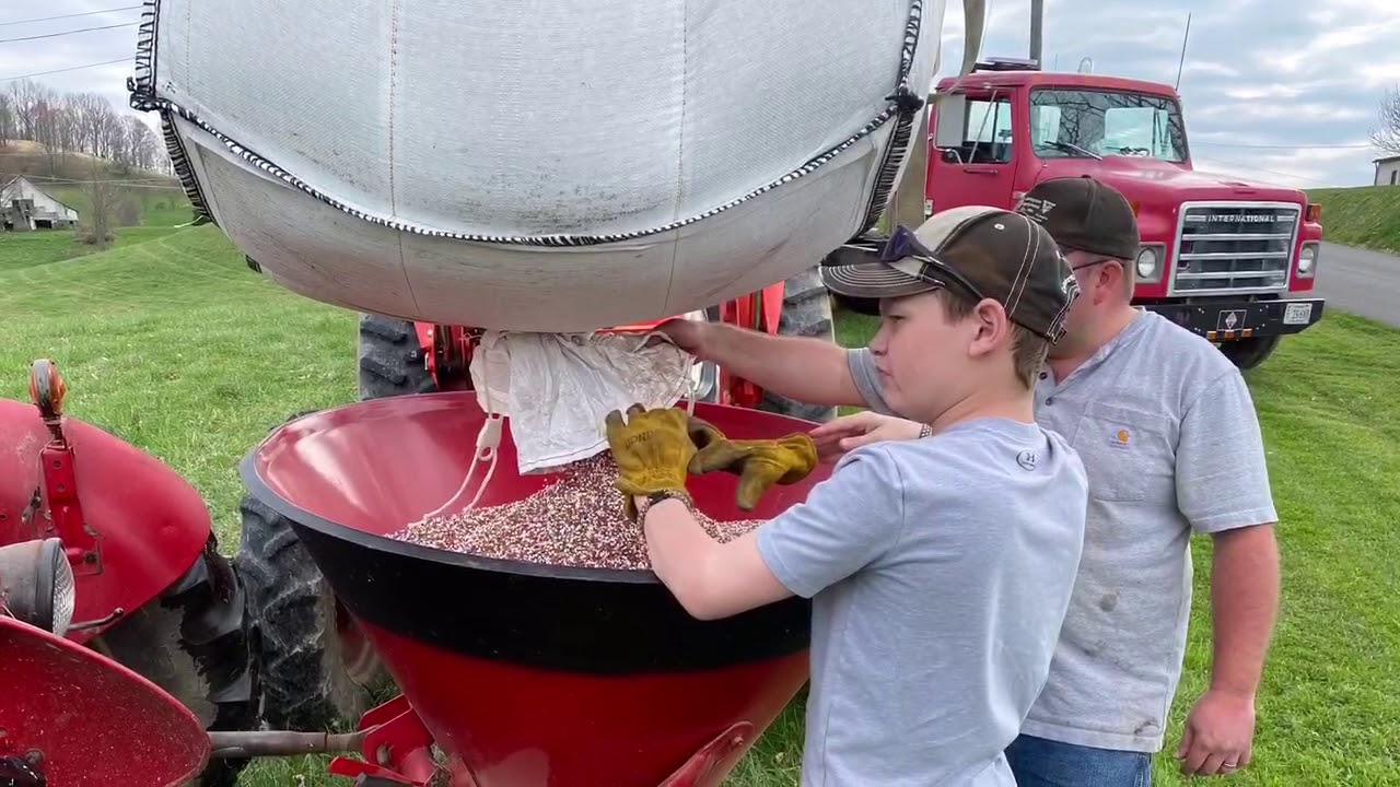 Feeding the Hay Fields! Massey Ferguson 245 spreading Fertilizer - YouTube