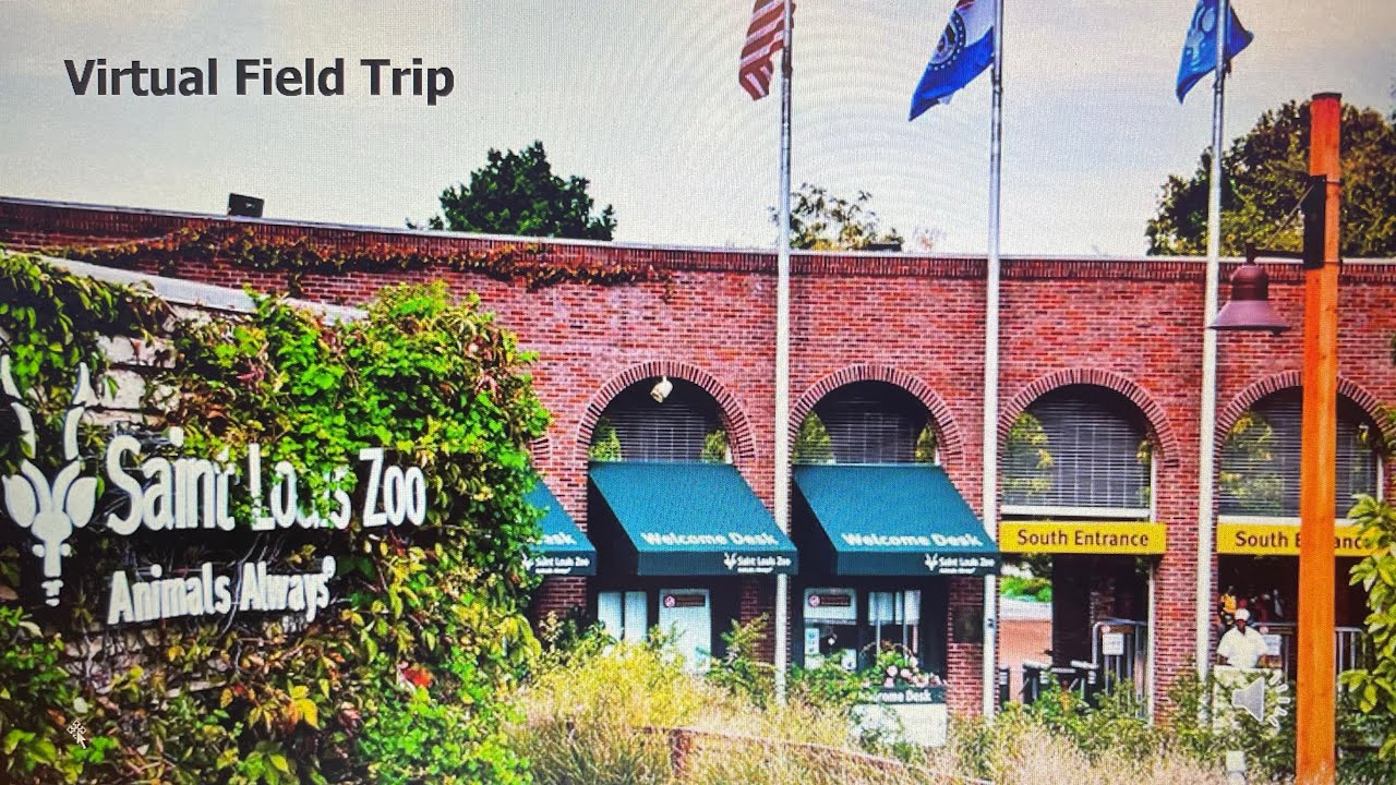 Virtual Field Trip - St. Louis Zoo - YouTube
