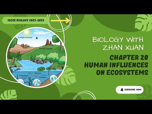 Igcse Ecosystems Powerpoint