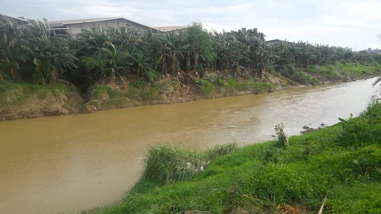 Sungai Cikeas - YouTube