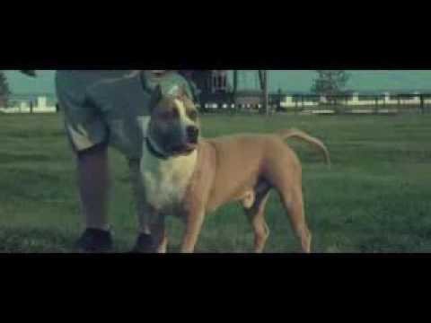 QURD   Tənha Bakı official video   240P