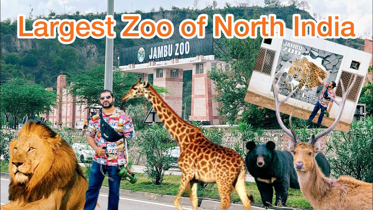 JAMBU ZOO IN JAMMU || Largest zoo of North India || lion | bear ...