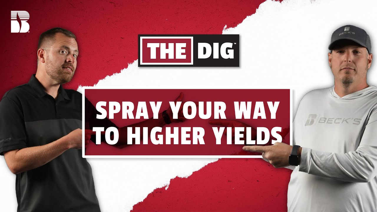 Spray Your Way To Higher Yields! | The Dig - YouTube