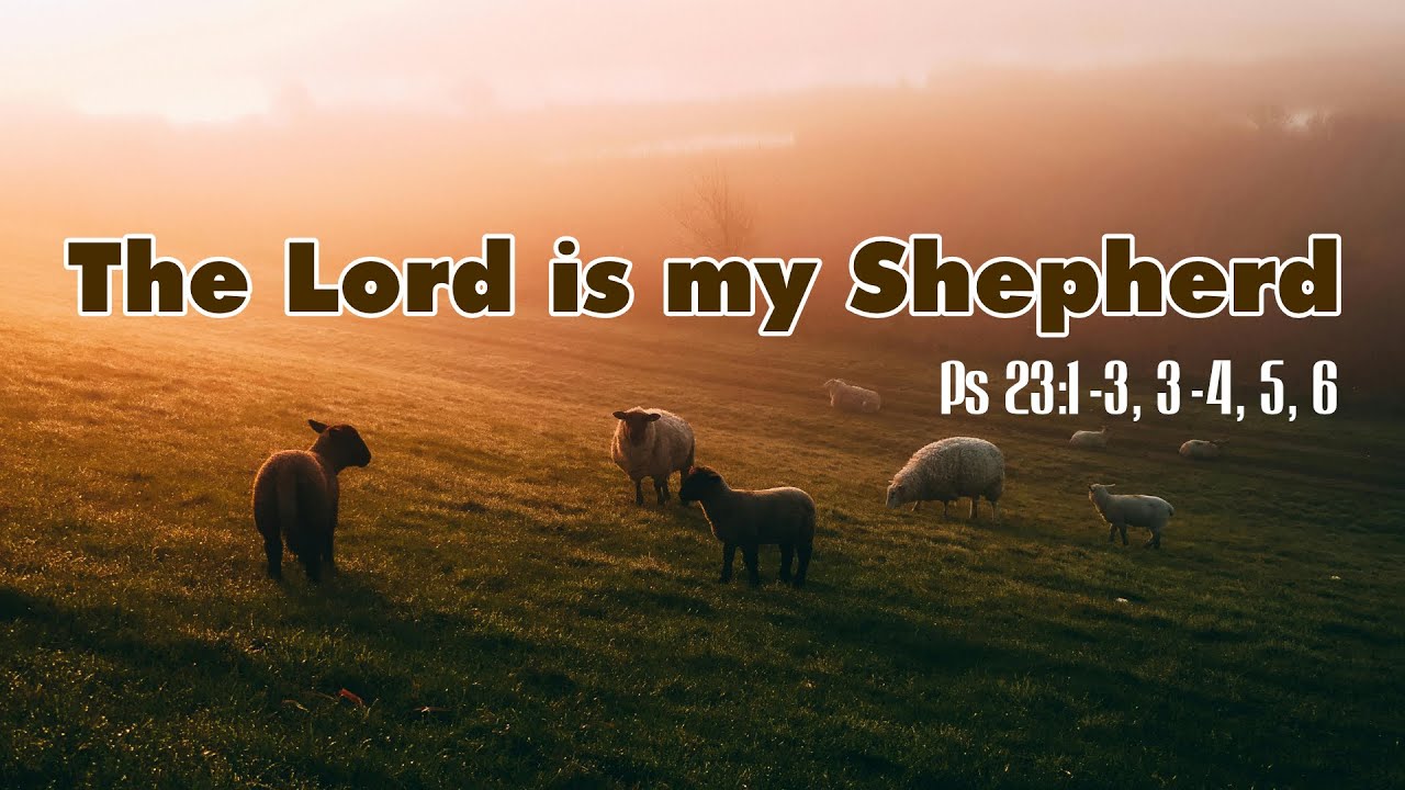 The Lord is My Shepherd | Psalm 23:1-3, 3-4, 5, 6 - YouTube