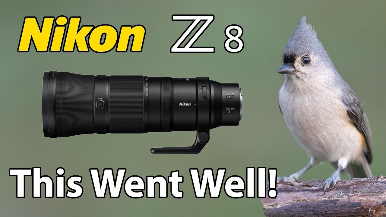 Nikon Z8 Bird Photography with 180-600mm Telephoto Zoom Lens! - YouTube