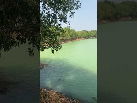 SAlORN-សាឡន Official is live! ប្រមូមែកេឈេី - YouTube