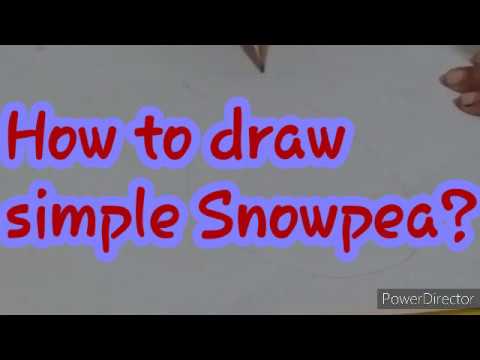 How to draw Snowpea?/Teacher A - YouTube