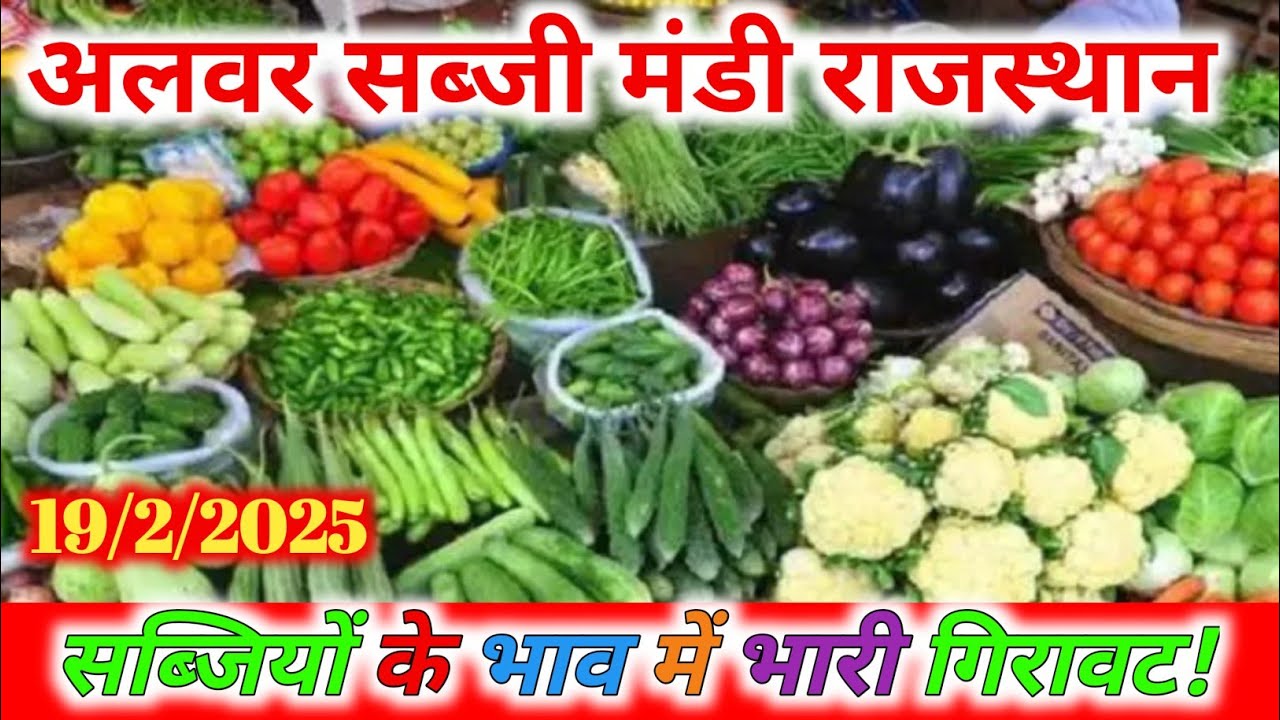 Today Vegetable Market Price in Alwar Rajasthan/ Rajasthan wholesale ...