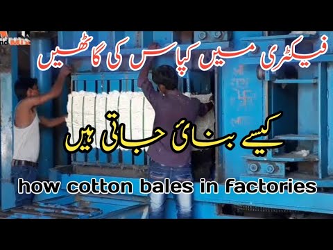 How Cotton bale made from Cotton|How Cotton is Processed in Factories ...