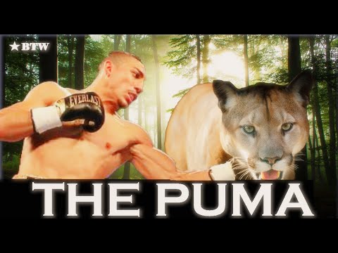TEOFIMO LOPEZ: THE PUMA! #teofimolopez #bodyworkboxing #BTWcollection ...