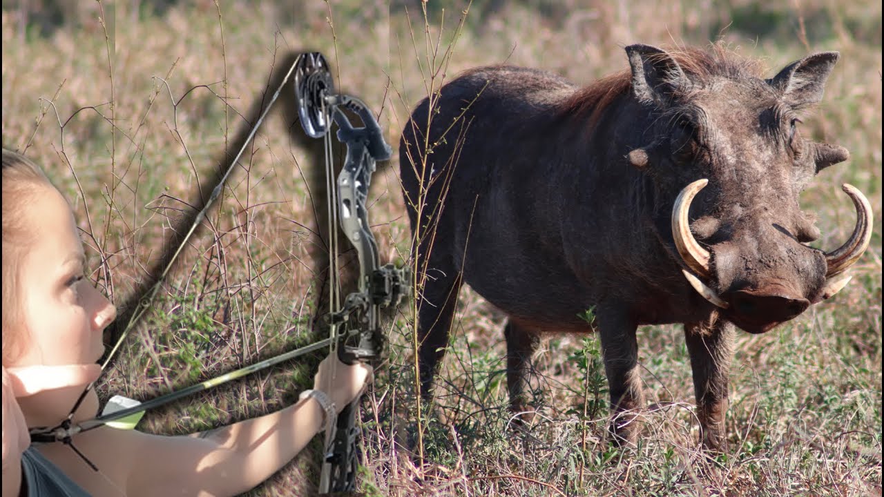 Savage WartHog and Impala with Bow! {Catch Clean Cook} Home Made ...