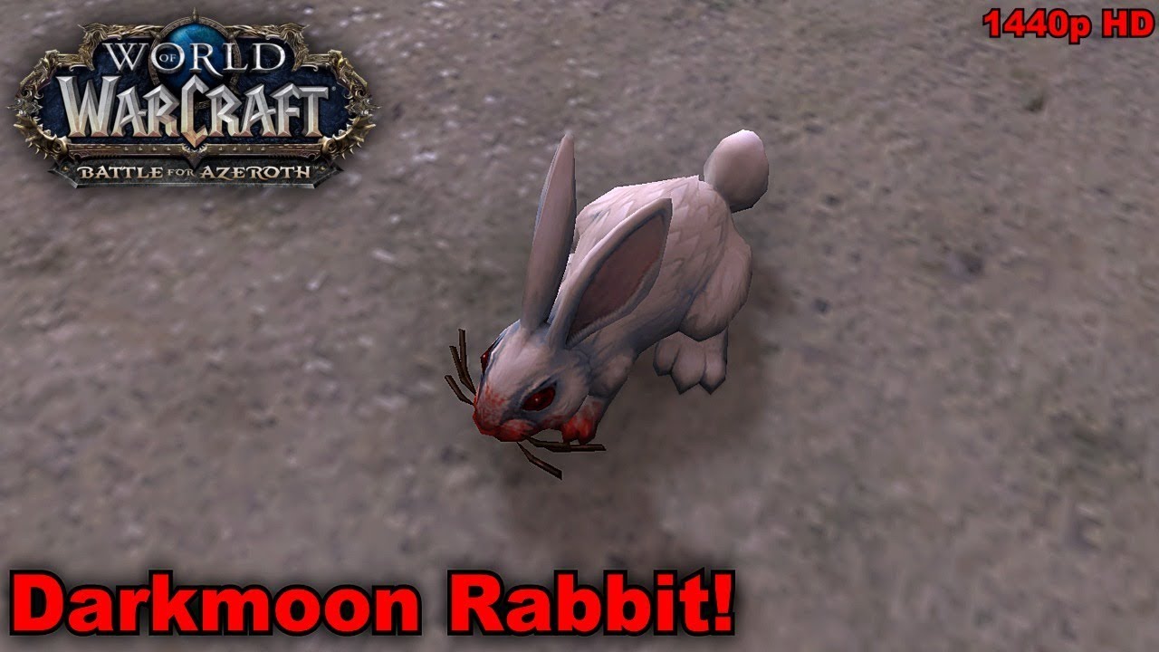 WoW - Darkmoon Rabbit Dropped For Me! - YouTube