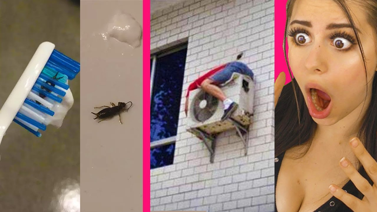 Photos That Will Make You Say WHATTTTT - YouTube