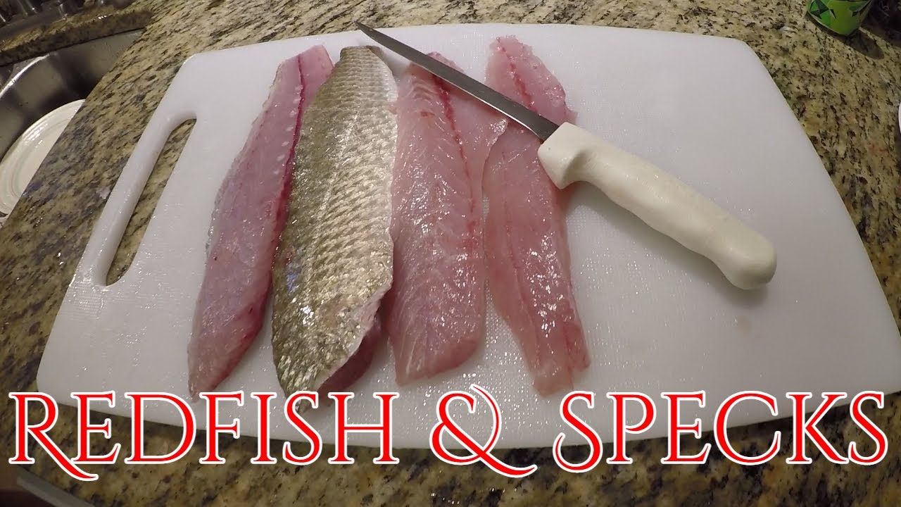 Filleting Redfish on the Half Shell & Speckled Sea Trout (Easy) - YouTube