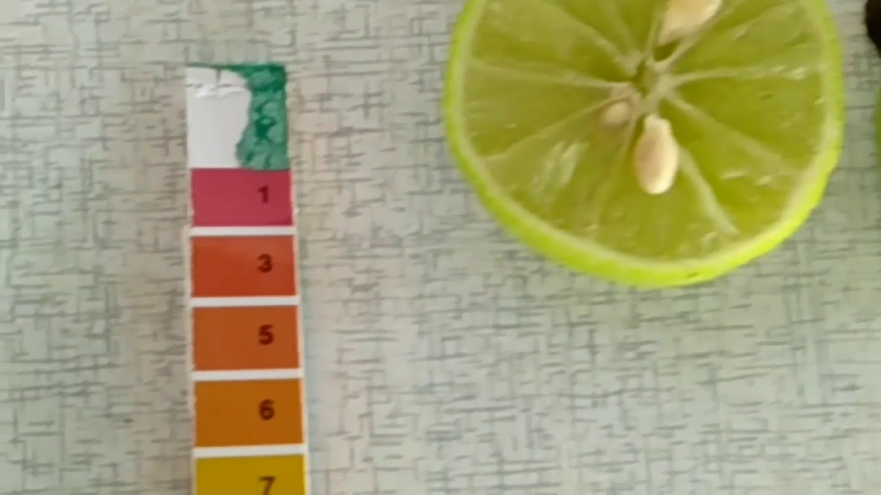 PH test lemon - YouTube