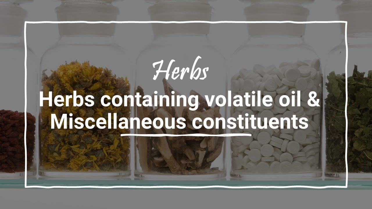 Herbs containing volatile oil & Miscellaneous constituents - YouTube