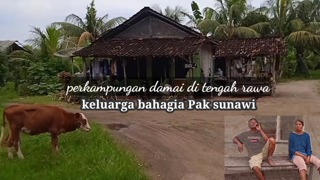 Walk in village indonesia || kampung Rawa √ 7 families live peacefully ...