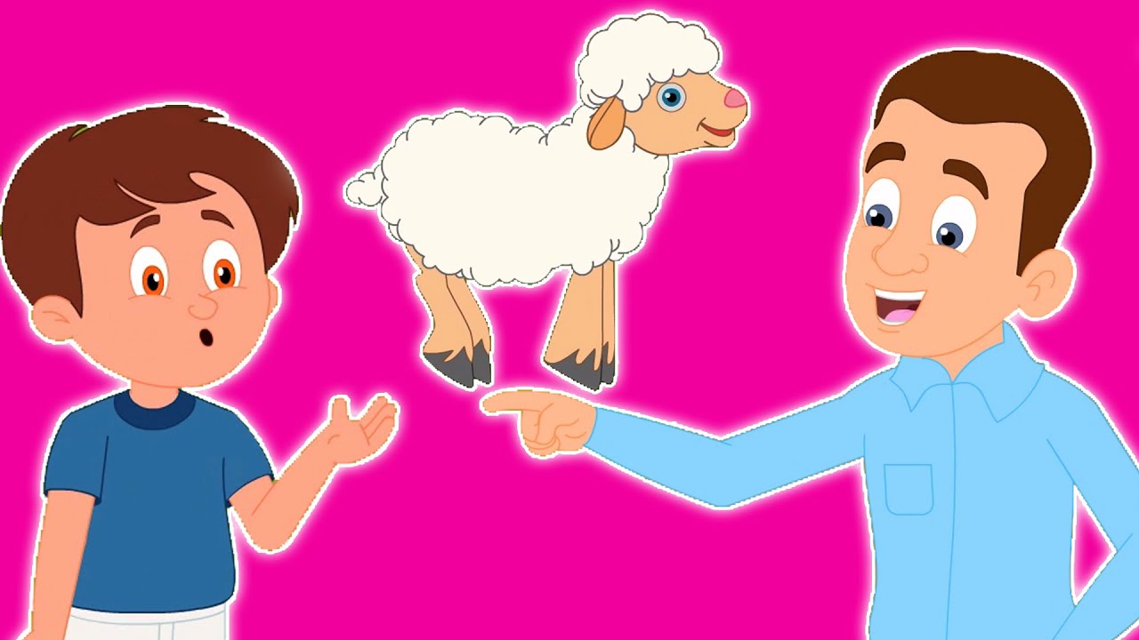 Mary ha un piccolo agnello | Cartoon per i bambini | compilazione ...