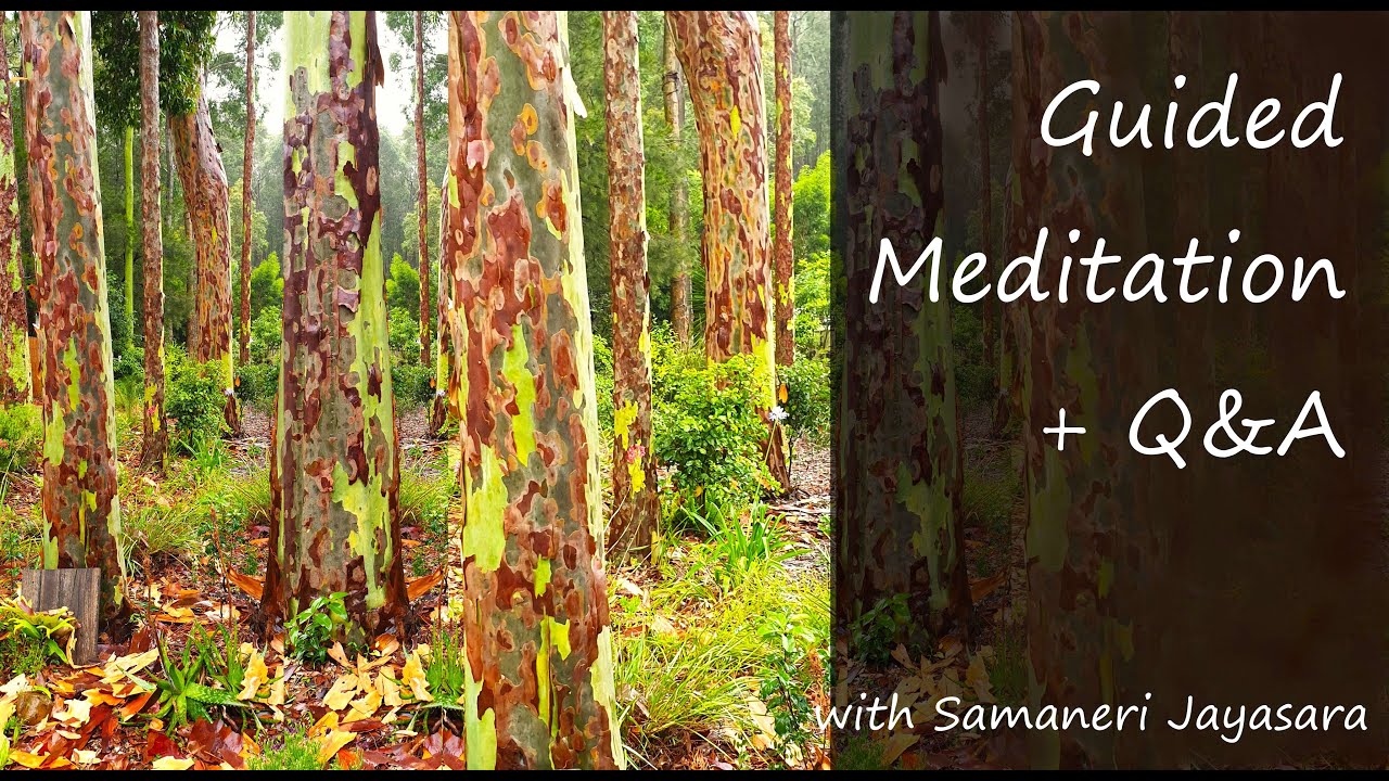 Guided Meditation + Q&A with Samaneri Jayasara ~ Sunday 4th May @ 7am ...