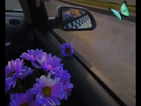 🦋🌷Whatsapp ucun maraqli statuslar,sevgiye aid video,Sounds App Status ucun qisa videolar 2022🍃