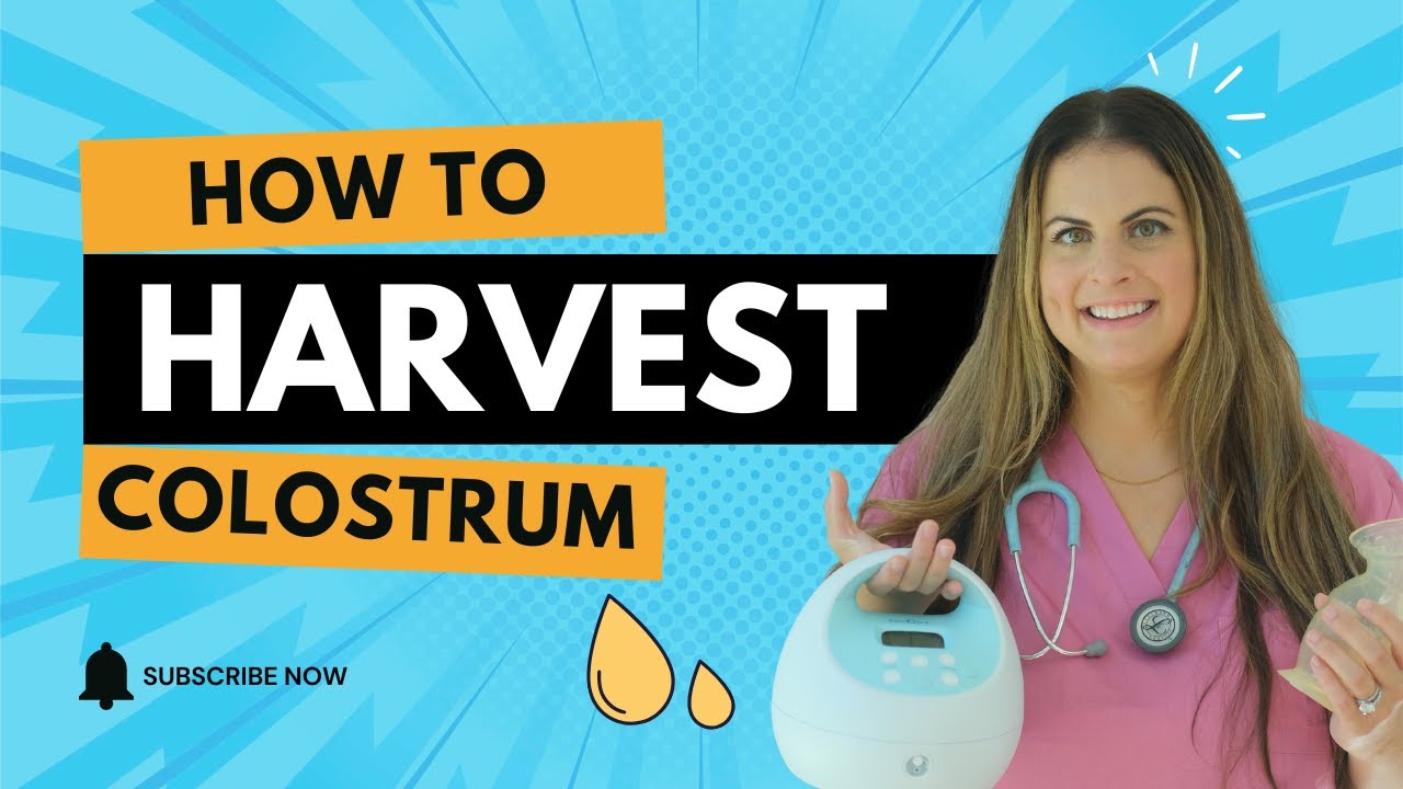How to Harvest Colostrum Safely & Effectively | Ultimate Guide for New ...