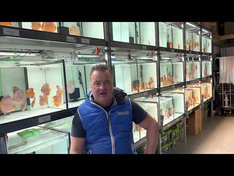 Interview mit Diskus Experte Maik Krause - YouTube