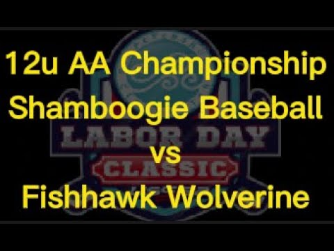 12u AA Championship Fishhawk Wolverines vs Shamboogie - YouTube