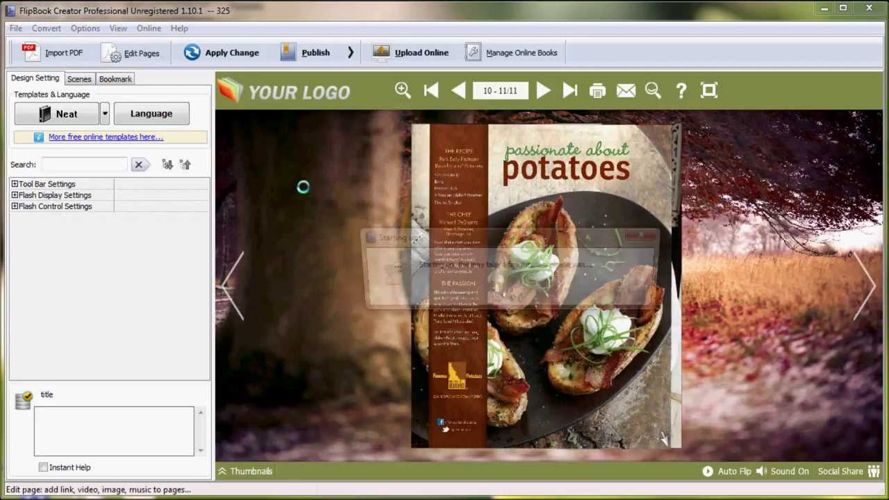 FlipBook Creator Professional, Enrich flip magazine by SWF file - YouTube