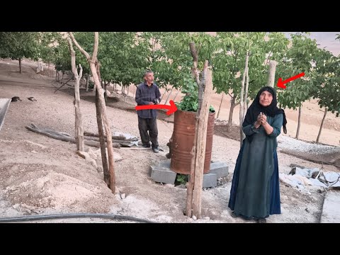 Mehran Brought Food for Grandma, Then Freed a Tree Trapped Inside a Barrel ❤️🌳