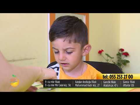 Narınc Psixologiya Mərkəzi - Psixi və Nitq İnkişaf Ləngiməsi