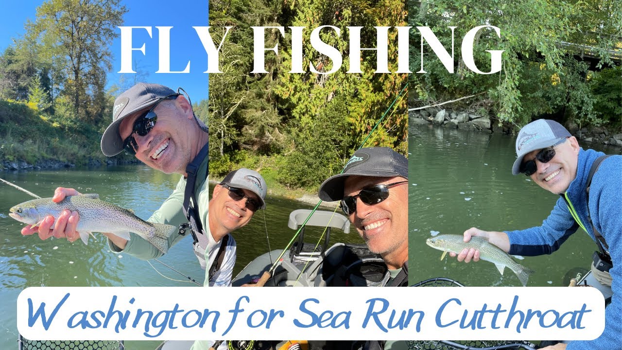 Fly Fishing Washington Rivers for Sea Run Cutthroat - YouTube