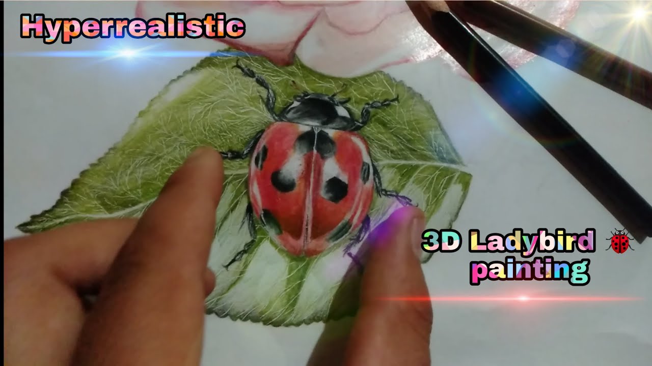 3D Hyperrealistic drawing of ladybird 🐞 or ladybug🐞 | Hassan Artwork ...