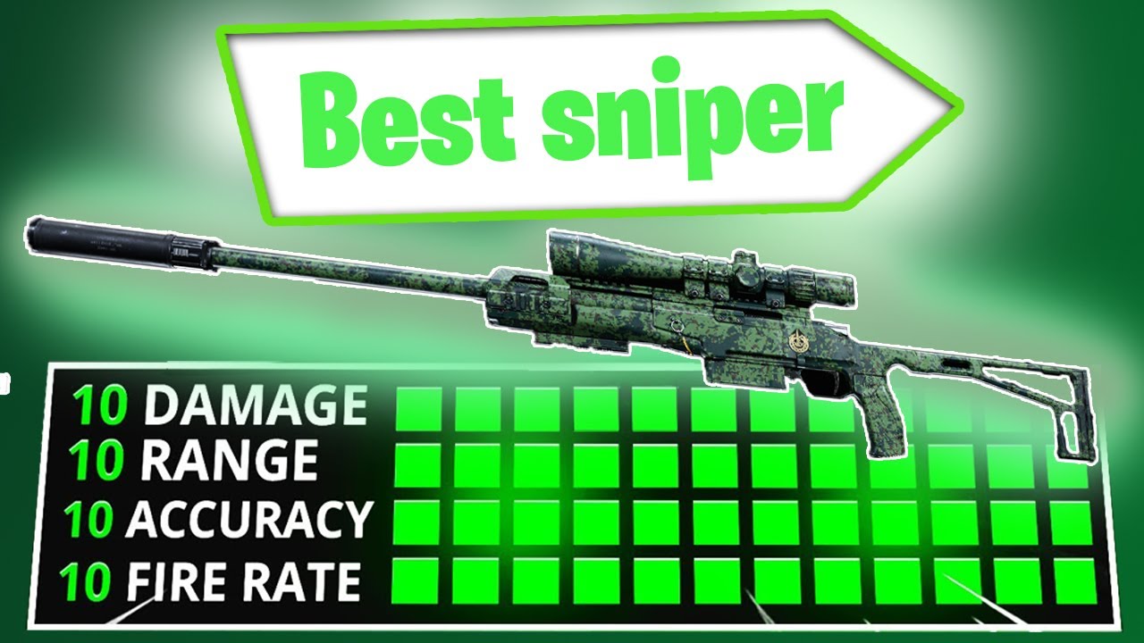 Best SPR-208 class setup for warzone (Best warzone sniper) - YouTube