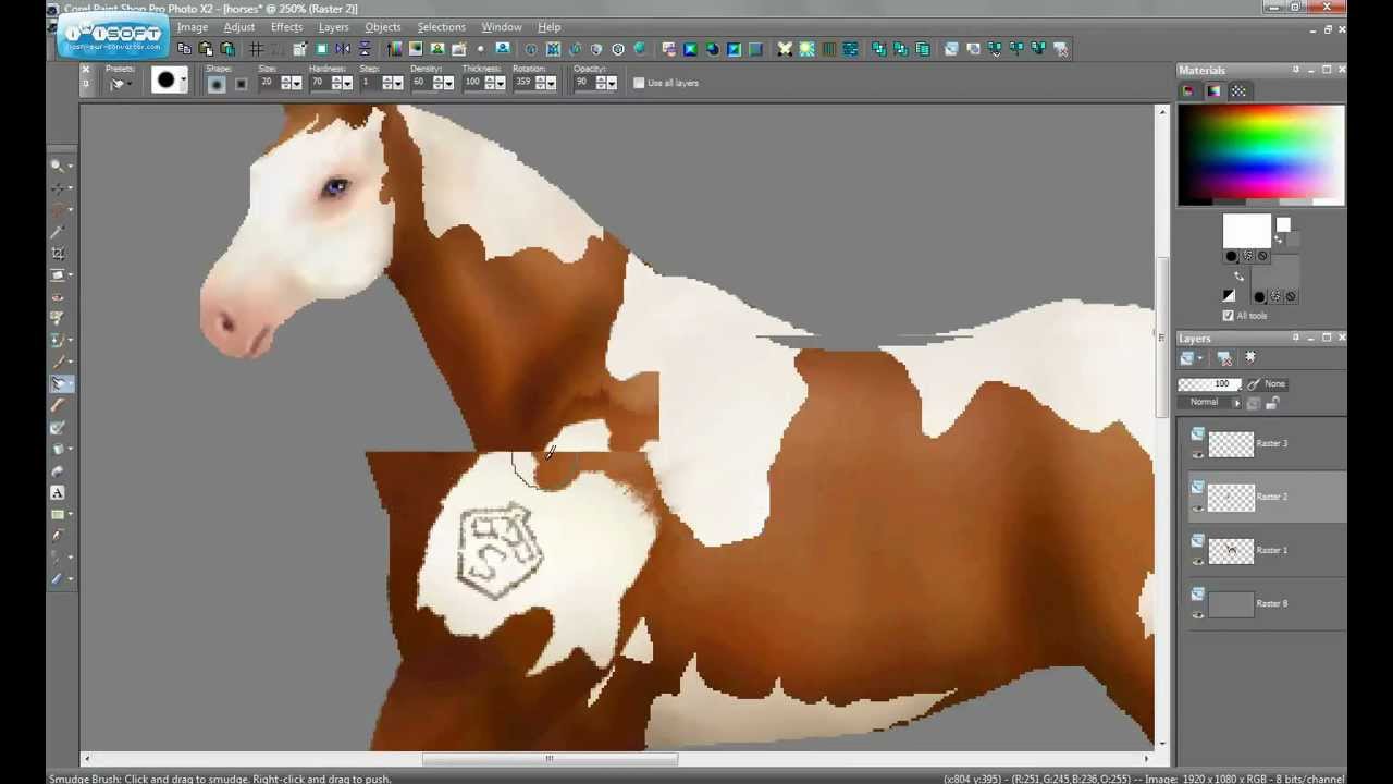 Snafflez Quick Tutorial - Pinto Trot 1/8 - YouTube
