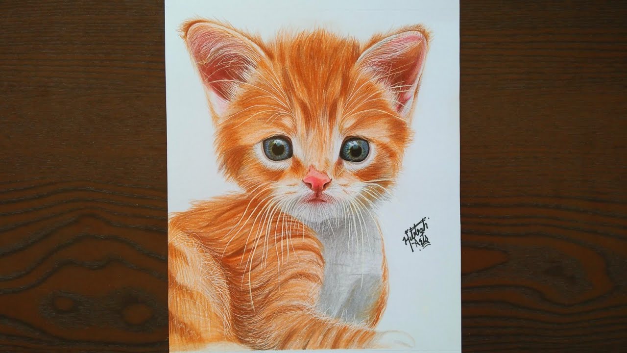 Drawing a Cute Kitten || Colourful Drawings || Hibbah Arts - YouTube