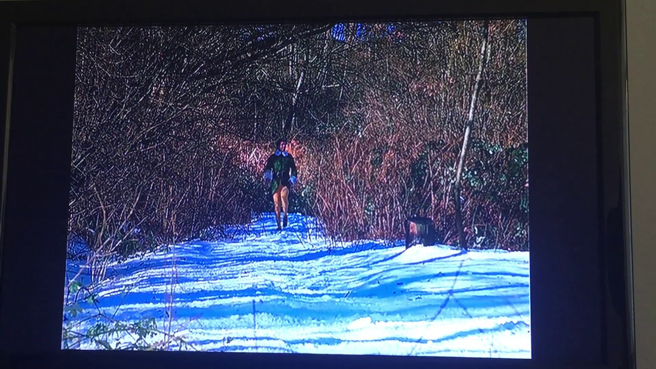 Elf Raccoon Hug Scene - YouTube