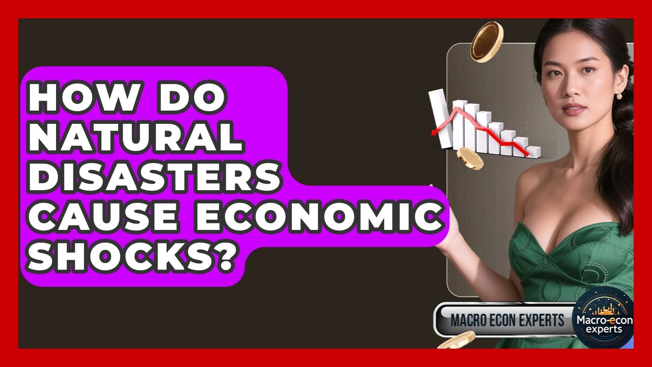 How Do Natural Disasters Cause Economic Shocks? - Macroecon Experts ...