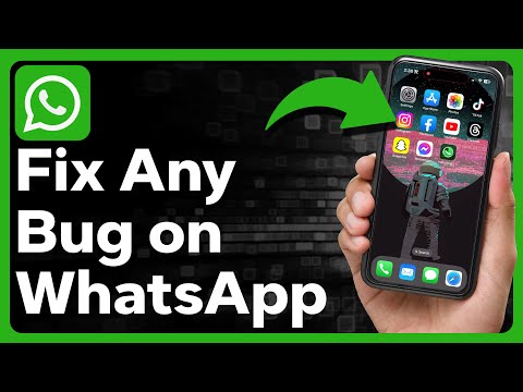 How To Fix ANY WhatsApp Bug
