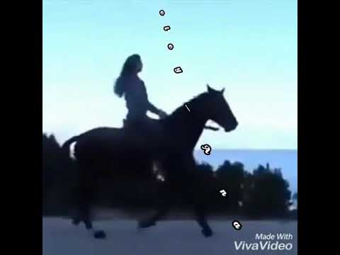 2018 WhatsApp durum videoları(13)