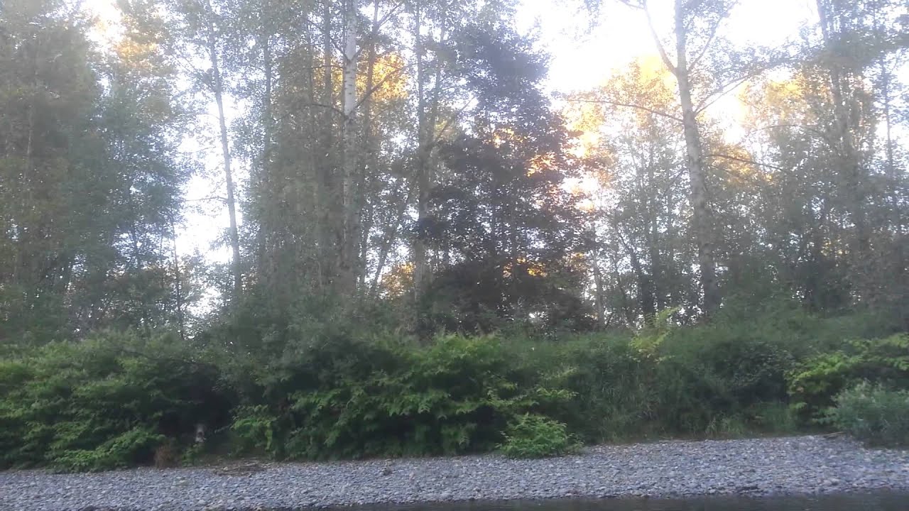 Pilchuck River Blues in Snohomish, Wa 2014 - YouTube