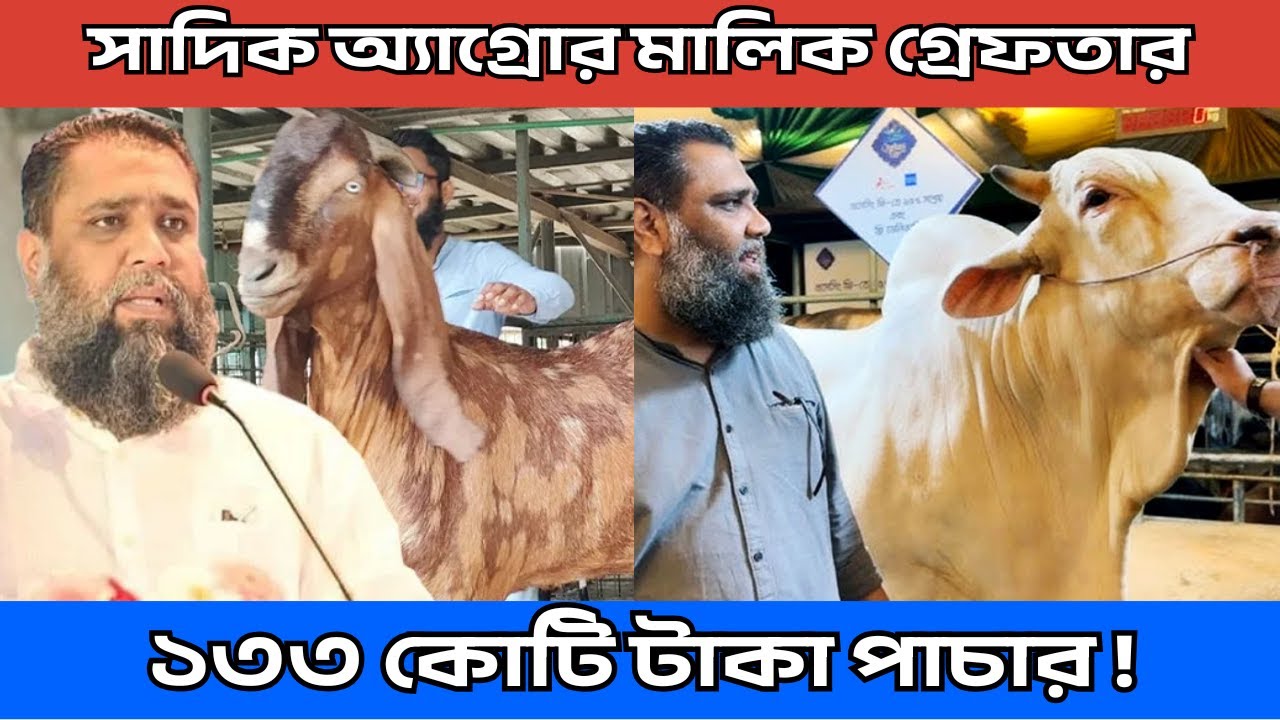১৩৩ কোটি টাকা পাচারের মামলায় সাদিক অ্যাগ্রোর চেয়ারম্যান ইমরান ...